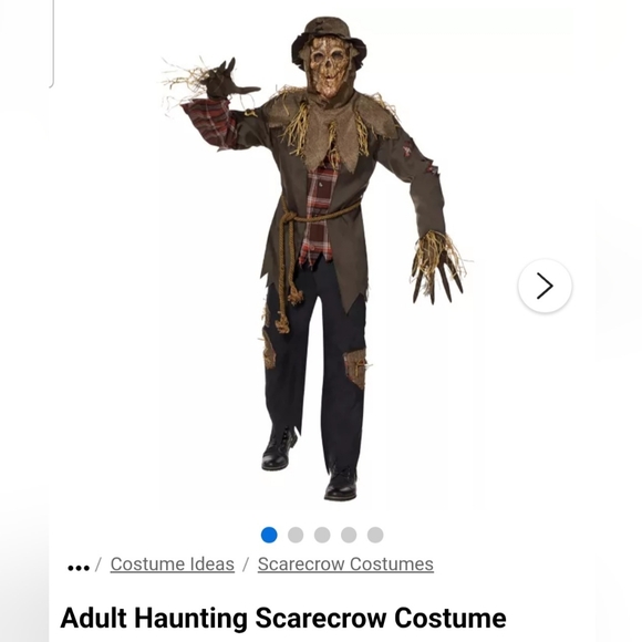 Spirit | Other | Spirit Halloween Scarecrow Costume Brown And Black Sz ...